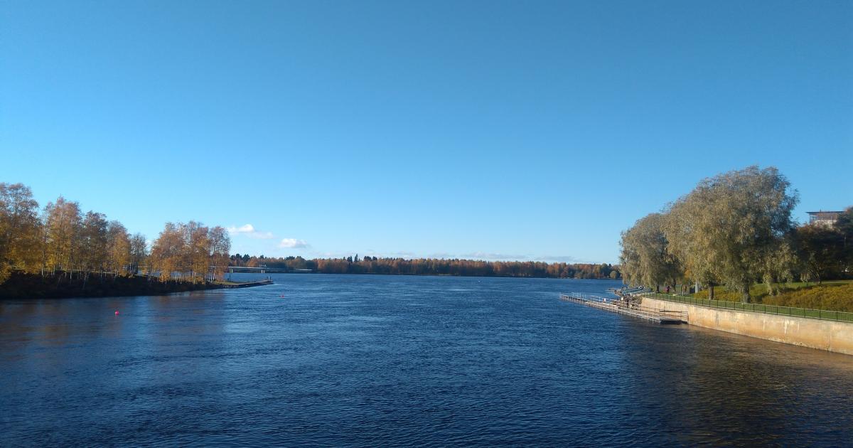 Diana Pamela Moya Osorio | University of Oulu